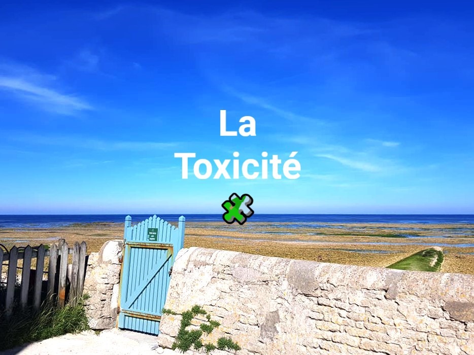 🧩LA TOXICITE - Le Coaching dans la Peau