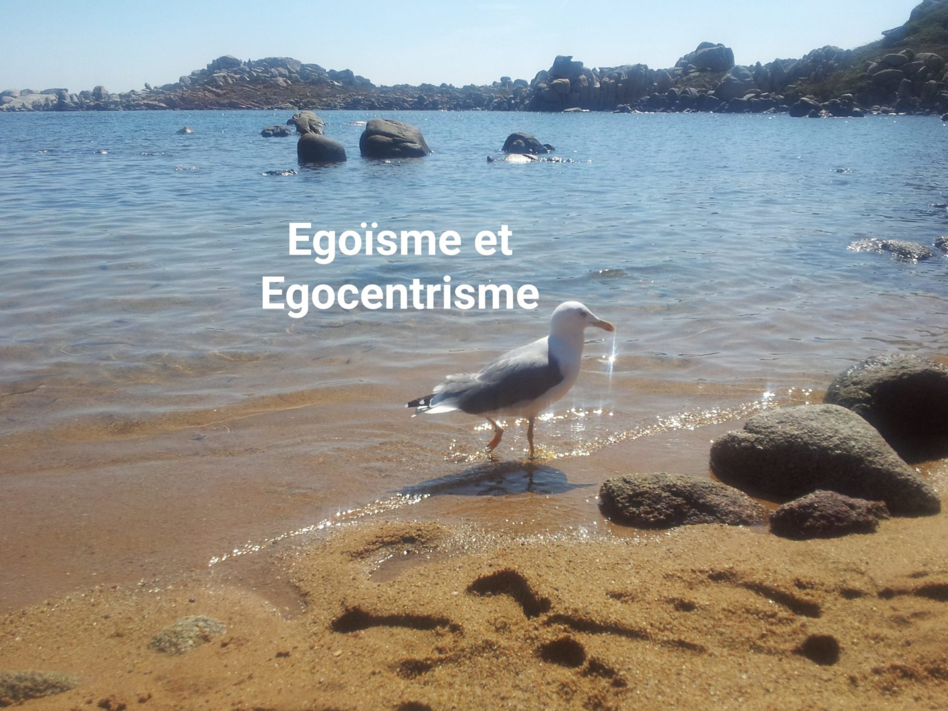 🧩 EGOISME & EGOCENTRISME - Le Coaching dans la Peau